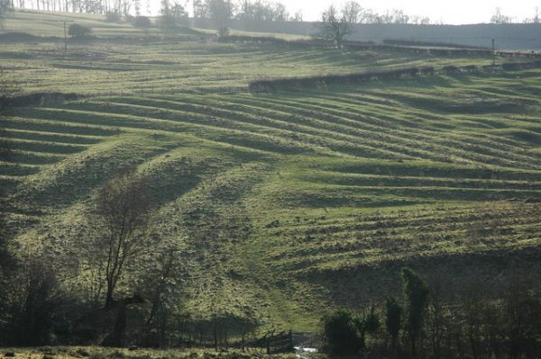 Ridge and Furrow, Medieval farming remains in West Derby • Historic ...