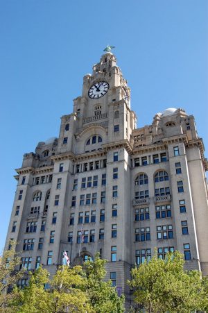 Royal Liver Building: A Liver Bird's point of view • Historic Liverpool