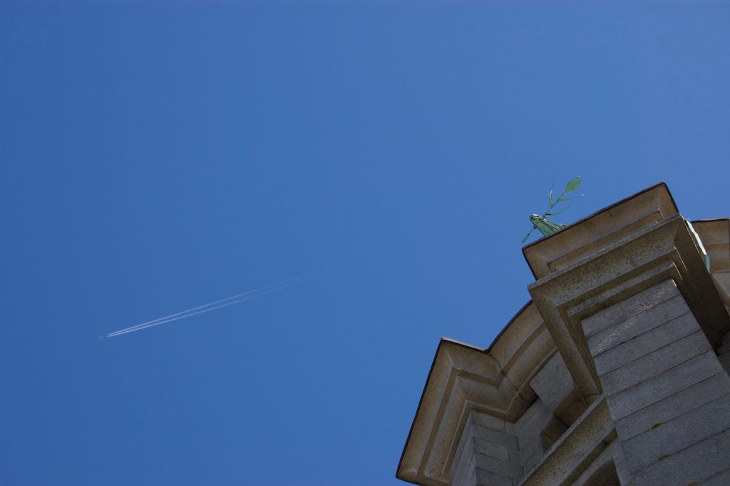 Royal Liver Building: A Liver Bird's point of view • Historic Liverpool