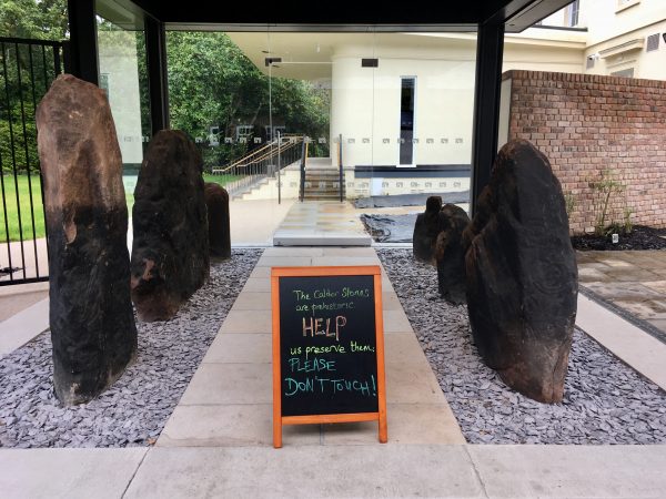 Allerton Oak: ancient and award-winning tree • Historic Liverpool