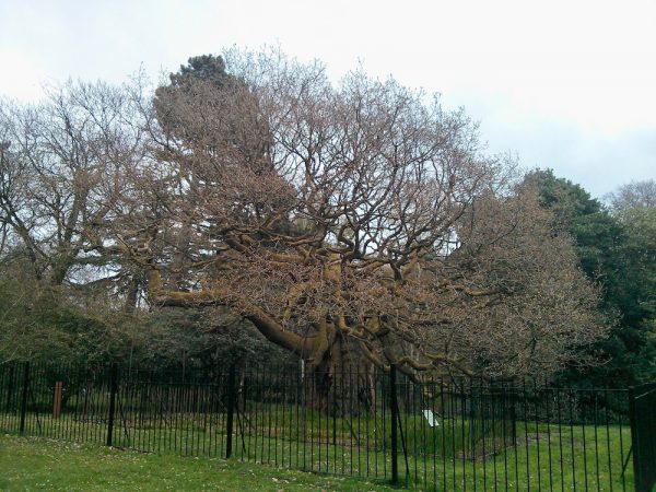 Martin Greaney, Author at Historic Liverpool